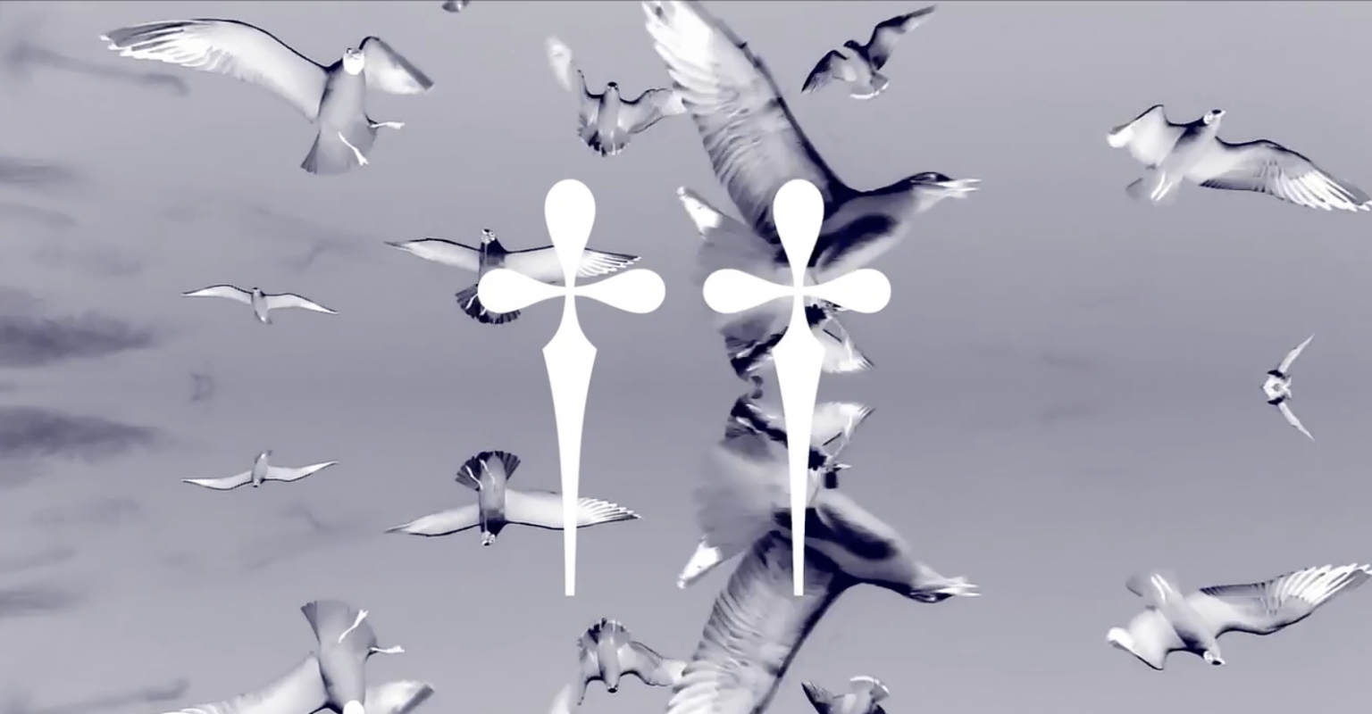 Heiko-Thandeka Ncube, 1991–2023 – Critical Diversity Blog